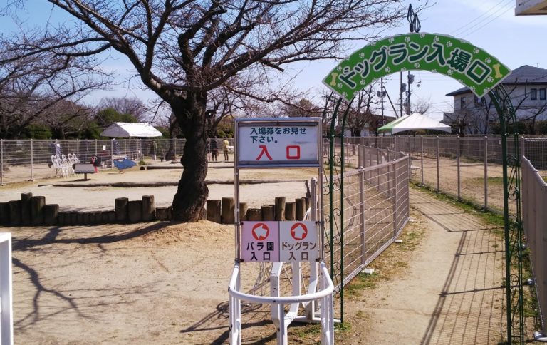RSKバラ園｜圧巻のバラを鑑賞♪カフェparcで優雅にティータイムもお勧め【岡山市北区】 | 岡山スタイル